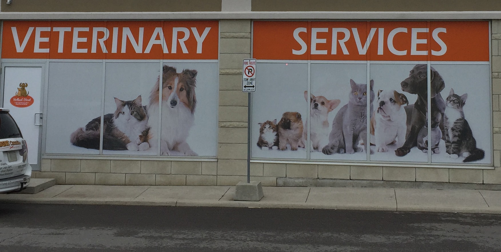 Window Graphics | Esigns